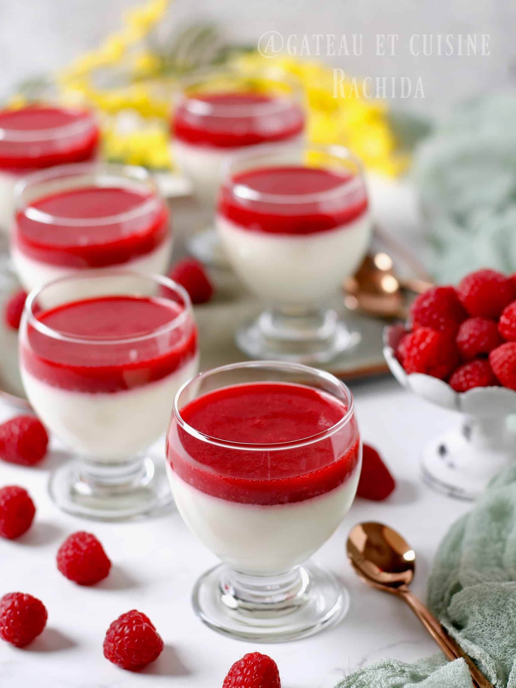 Raspberry Panna Cotta | Gâteau et cuisine Rachida